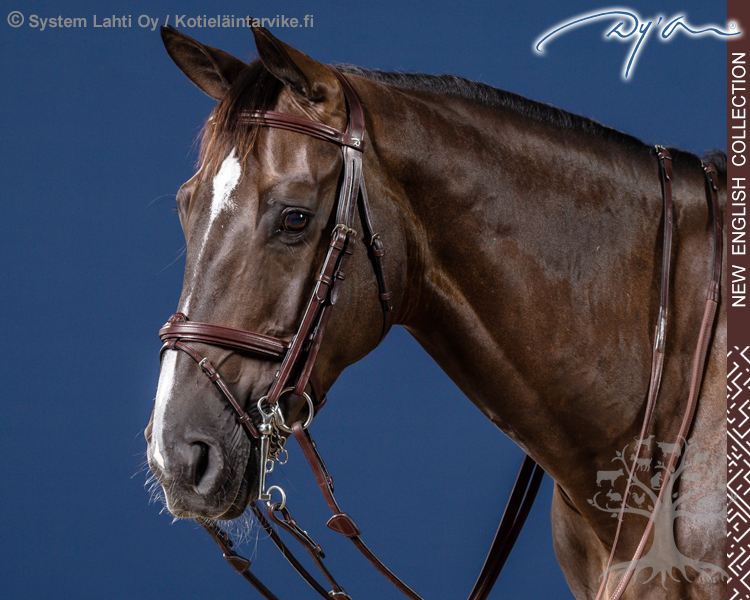 Dyon New English Collection Double Bridle Flash Noseband ...