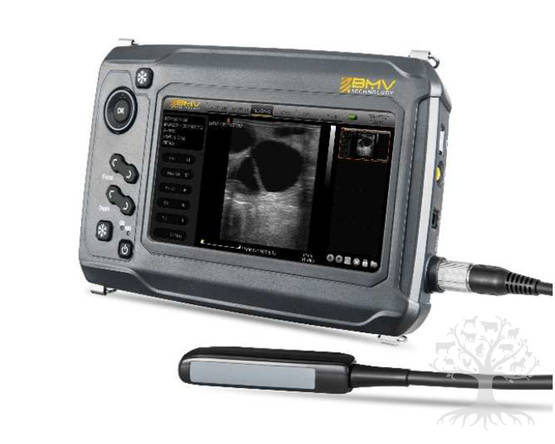 BMV Ultrasound Machine BestScan S6 Touch Linear - Kotielaintarvike.fi ...